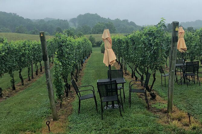 Virginia Winery Excursion By Luxury Vehicle 2-Wineries - Exploring Virginia’s Wineries in Style: An Honest Review of the Luxury Excursion