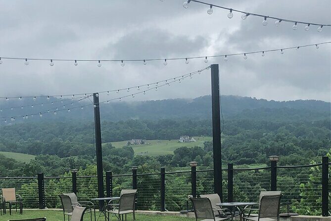 Virginia Winery Excursion by Luxury Vehicle Three wineries - The Experience at a Glance