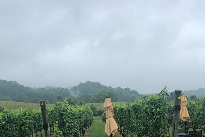 Virginia Winery Excursion by Luxury Vehicle Three wineries - The Value of the Experience