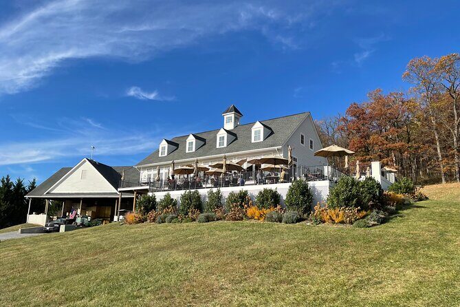 Virginia Winery Excursion by Luxury Vehicle Three wineries - Authentic Experiences and Highlights