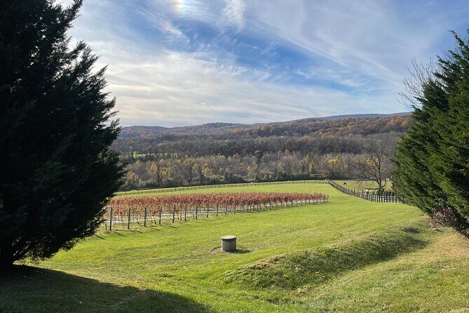 Virginia Winery Excursion by Luxury Vehicle Three wineries - Frequently Asked Questions