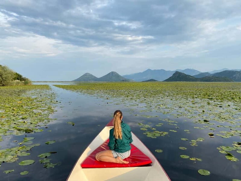 Virpazar: Amazon wilderness speed boat cruise - Key Points