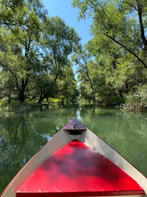Virpazar: Amazon wilderness speed boat cruise - A Detailed Overview of the Tour Experience