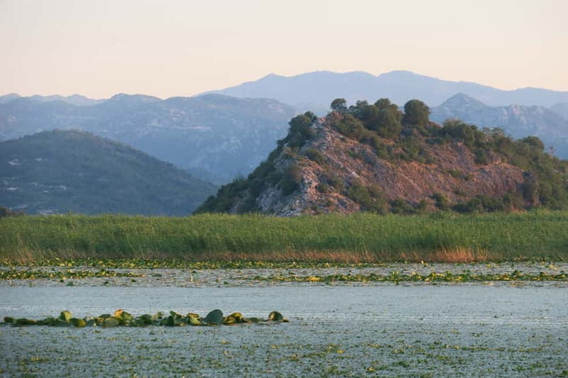 Virpazar: Amazon wilderness speed boat cruise - Authenticity and Local Connection