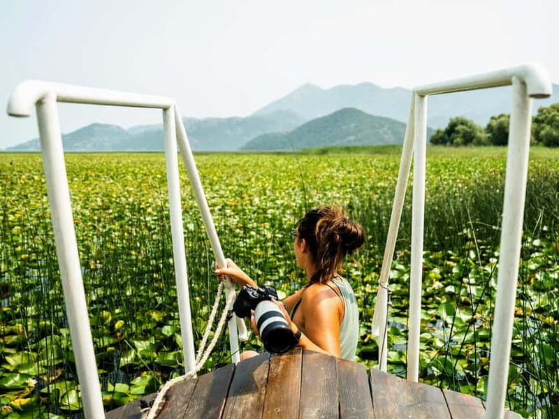 Virpazar: Guided Lake Skadar Cruise and Crnojevia River - Key Points