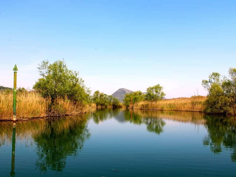 Virpazar: Guided Lake Skadar Cruise and Crnojevia River - An In-Depth Look at the Lake Skadar Experience