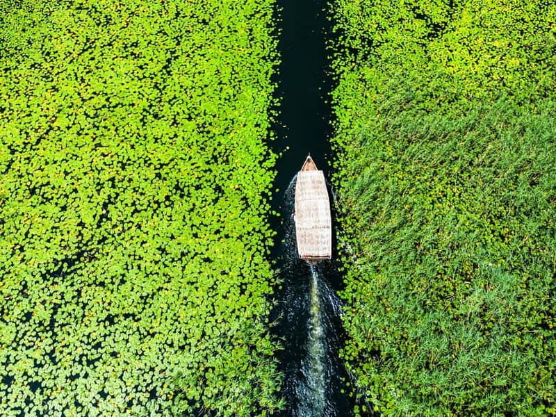 Virpazar: Lake Skadar Private Wildlife Cruise & Wine Tasting - An Introduction to the Experience