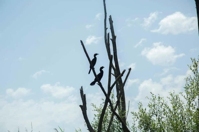 Virpazar: Lake Skadar Sightseeing Cruise - FAQ