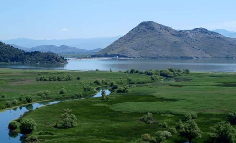 Virpazar: Skadar Lake National Park Guided Boat Tour - Is It Worth the Price?
