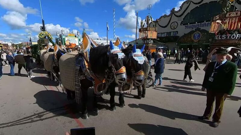 Virtual Tour 360 Video Octoberfest Munich with Wolfgang - Virtual Tour 360 Video Oktoberfest Munich with Wolfgang — A Deep Dive into Bavaria’s Famous Festival