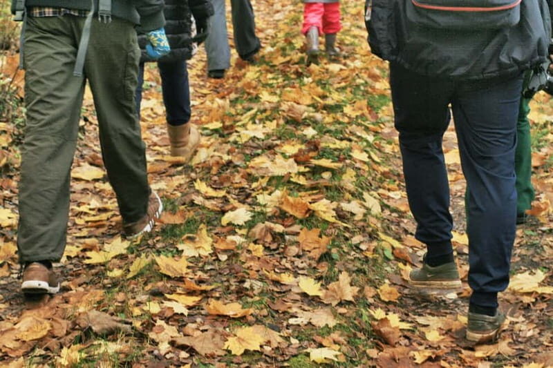 Visaginas: Wild Nature Hiking at Grauts Regional Park - Key Points