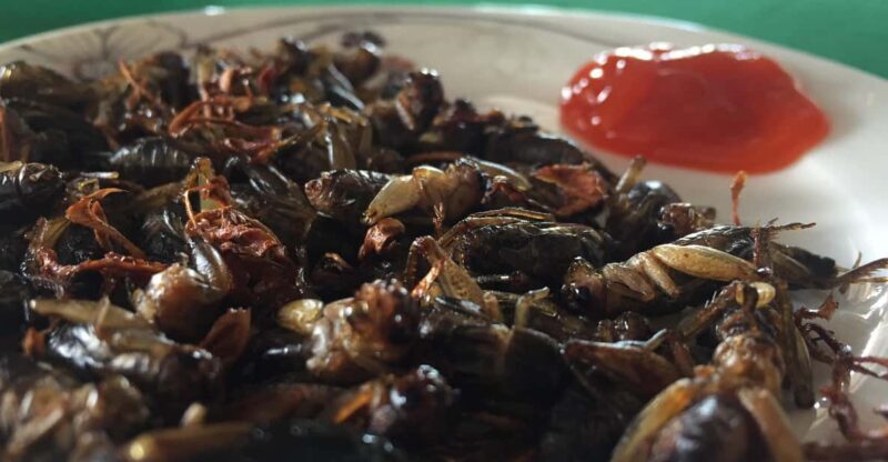 Visit 3 majestic waterfalls in Dalat - Key Points