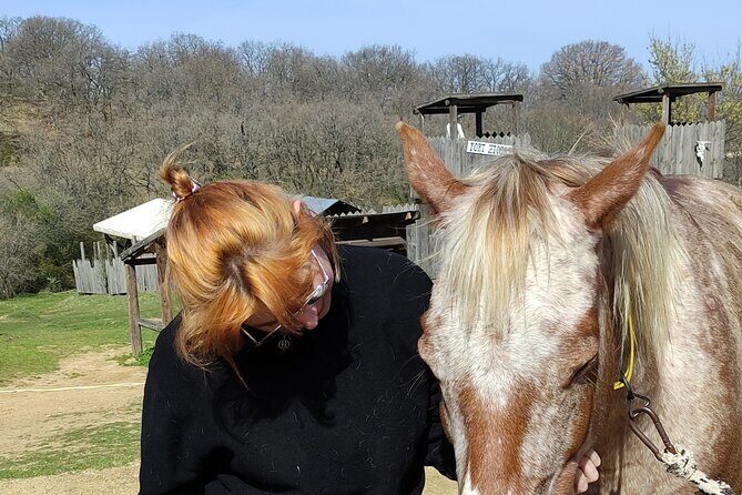 Visit a Farm and Horseback Riding in Nature - Why Travelers Love this Tour