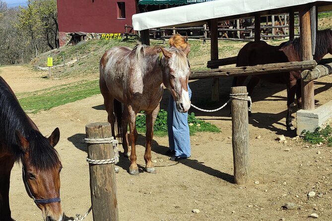 Visit a Farm and Horseback Riding in Nature - Frequently Asked Questions