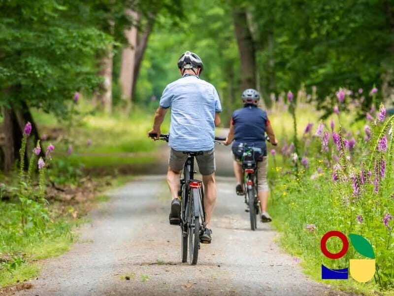 Visit a village by e-bike and taste the excellent wine - What Do Reviewers Say?