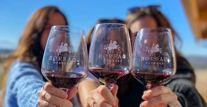 Visit a wine cellar, a wine museum and a traditional meal - The Experience and Its Value