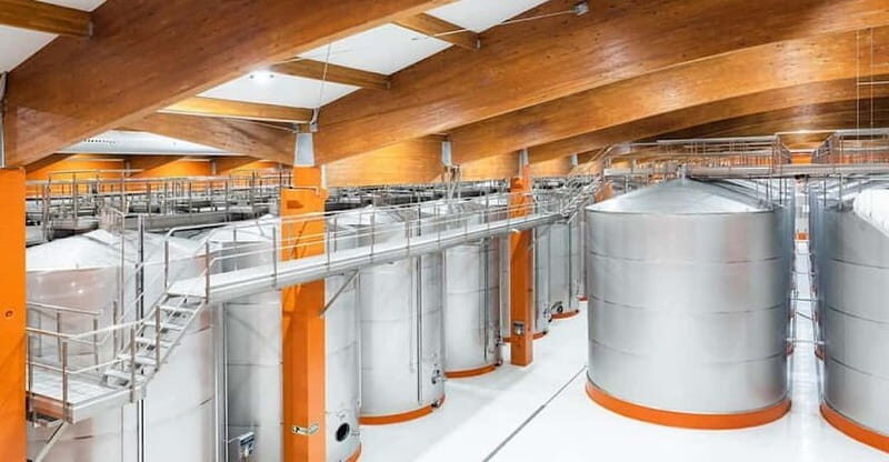Visit a wine cellar, a wine museum and a traditional meal - Who Will Appreciate This Tour Most?