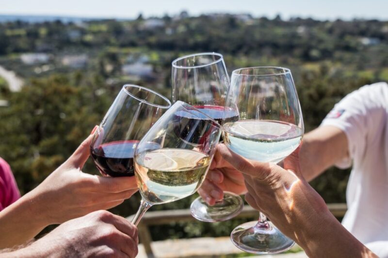 Visit a winery and an oil mill in Cisternino - What Makes This Tour Stand Out?
