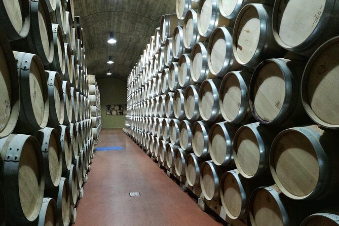 Visit a winery in Rioja - The Sum Up