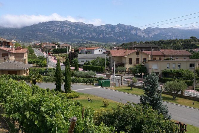 Visit a winery in Rioja - FAQ