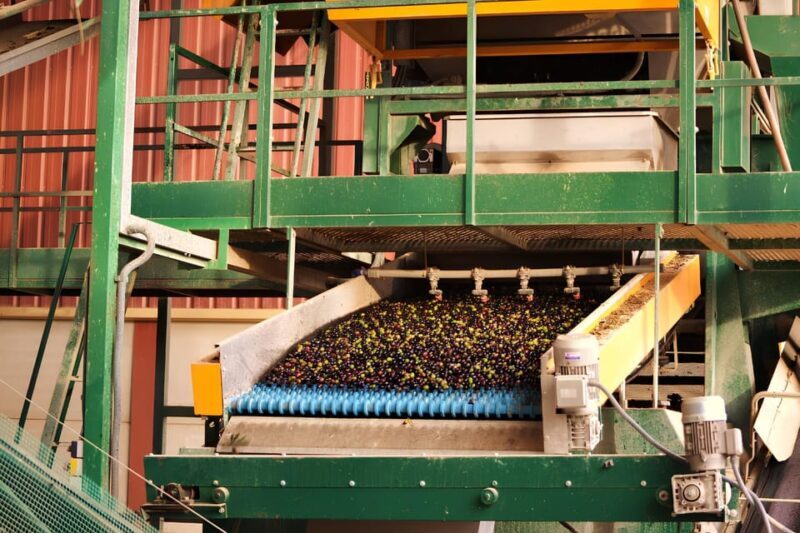 Visit an almazara + extra virgin olive oil tasting: Baeza - Key Points