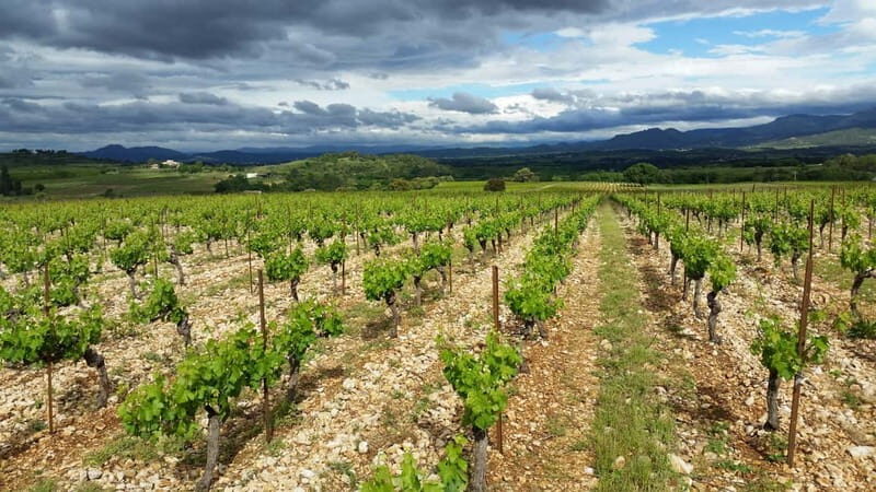 Visit and tasting - The essential - Key Points