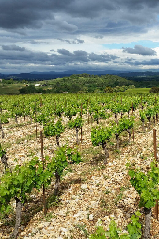 Visit and tasting - The essential - The Value Proposition