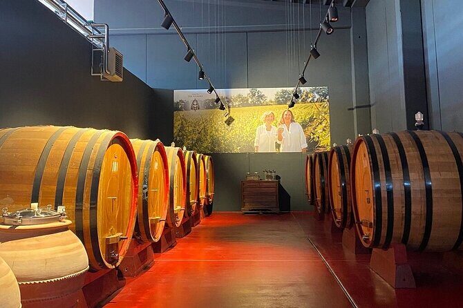 Visit and wine tasting 30 minutes from Pescara - Discovering the Winery and Its Unique Setting