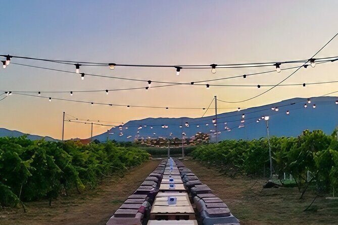 Visit and wine tasting 30 minutes from Pescara - The Authentic Atmosphere