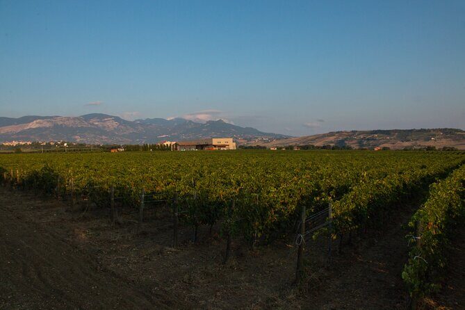 Visit and wine tasting 30 minutes from Pescara - Is It Worth the Price?