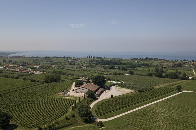 Visit and wine tasting at Tenuta La Cà - Introduction: Authentic Wine Experiences in Verona