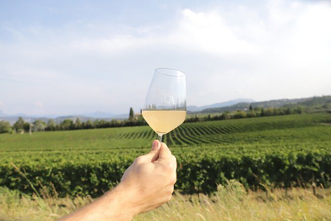 Visit and wine tasting at Tenuta La Cà - Key Points