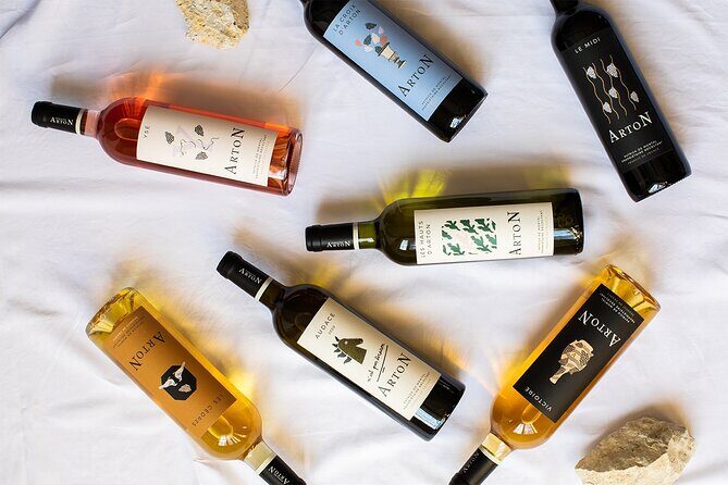 Visit and wine tasting: The Musketeers' wine - A Detailed Look at What to Expect