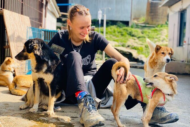 Visit Animal Sanctuary in Kathmandu - Key Points