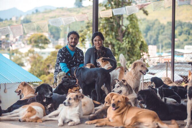 Visit Animal Sanctuary in Kathmandu - The Practical Side: Transport, Timing, and Group Size