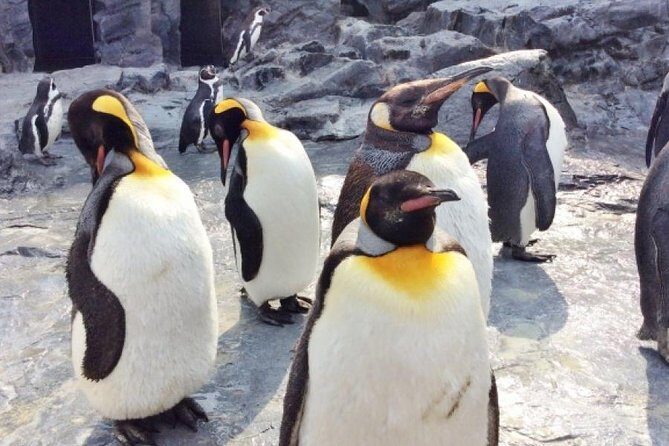 Visit Asahiyama Zoo, Fascinating Aoi-Ike from Sapporo - The Itinerary Breakdown: What You’ll Experience