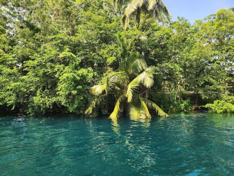 Visit Bacalar full day with boat from Merida - Visiting Cenote Azul