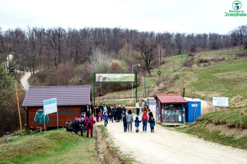 Visit Bear Sanctuary and Bran Castle from Brasov - Exploring the Day: What to Expect