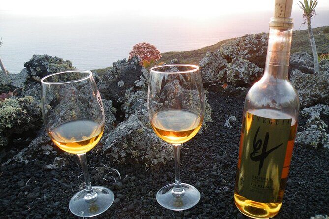 Visit Bodegas Teneguía winery in La Palma with wine Tasting - The Sum Up