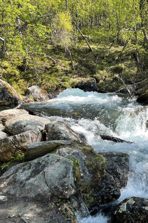 Visit Bubbelen, river comes out of the ground. - The Scenic Surroundings