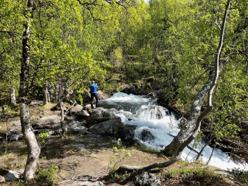 Visit Bubbelen, river comes out of the ground. - Pricing and Value