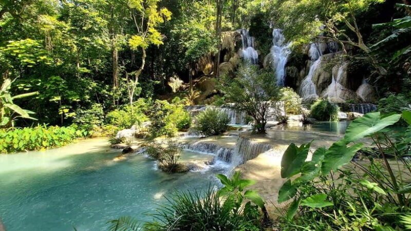 Visit buffalo farm, cooking-class forest, Kuang Si waterfall - The Sum Up