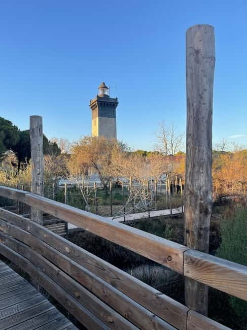 Visit Camargue and Espiguette Lighthouse from Montpellier - Key Points
