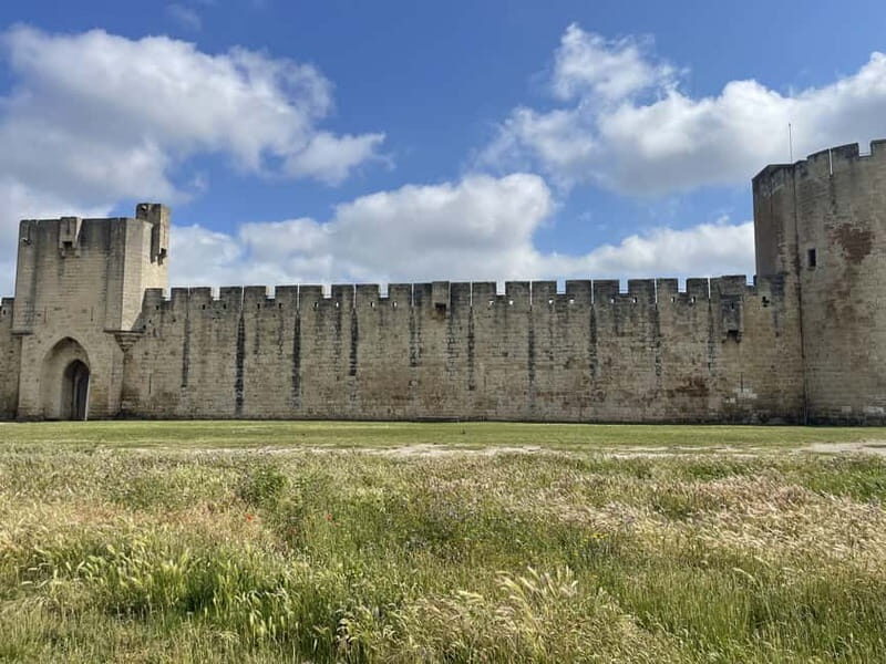 Visit Camargue and Espiguette Lighthouse from Montpellier - Introduction: Why Consider This Camargue Day Tour?