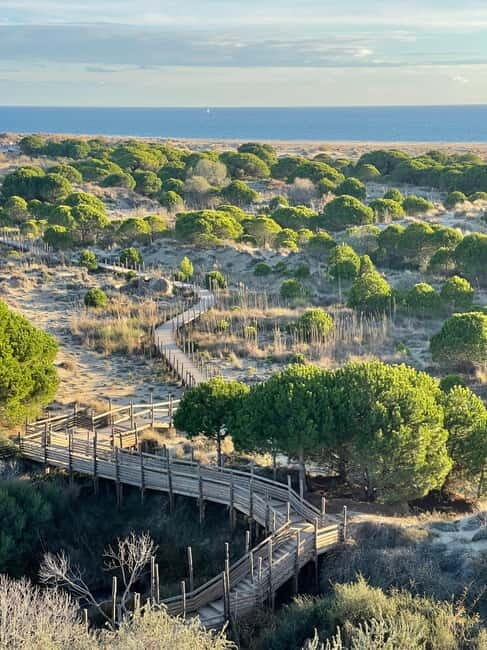 Visit Camargue and Espiguette Lighthouse from Montpellier - The Sum Up
