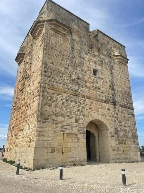Visit Camargue and Espiguette Lighthouse from Montpellier - FAQ
