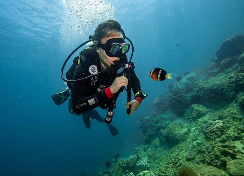 Visit Cham Islands & Snorkelling & Scuba Diving - Who Is This Tour Best For?