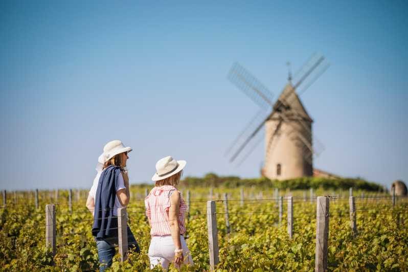 Visit : Château du Moulin-à-Vent, a History of Terroirs! - Key Points