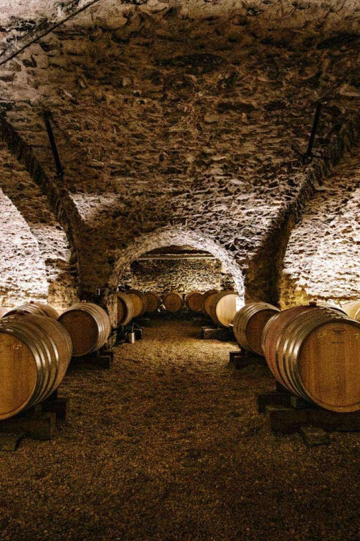 Visit : Château du Moulin-à-Vent, a History of Terroirs! - An In-Depth Look at the Tour Experience