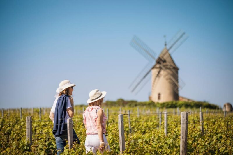 Visit : Château du Moulin-à-Vent, a History of Terroirs! - Practical Tips for Visitors